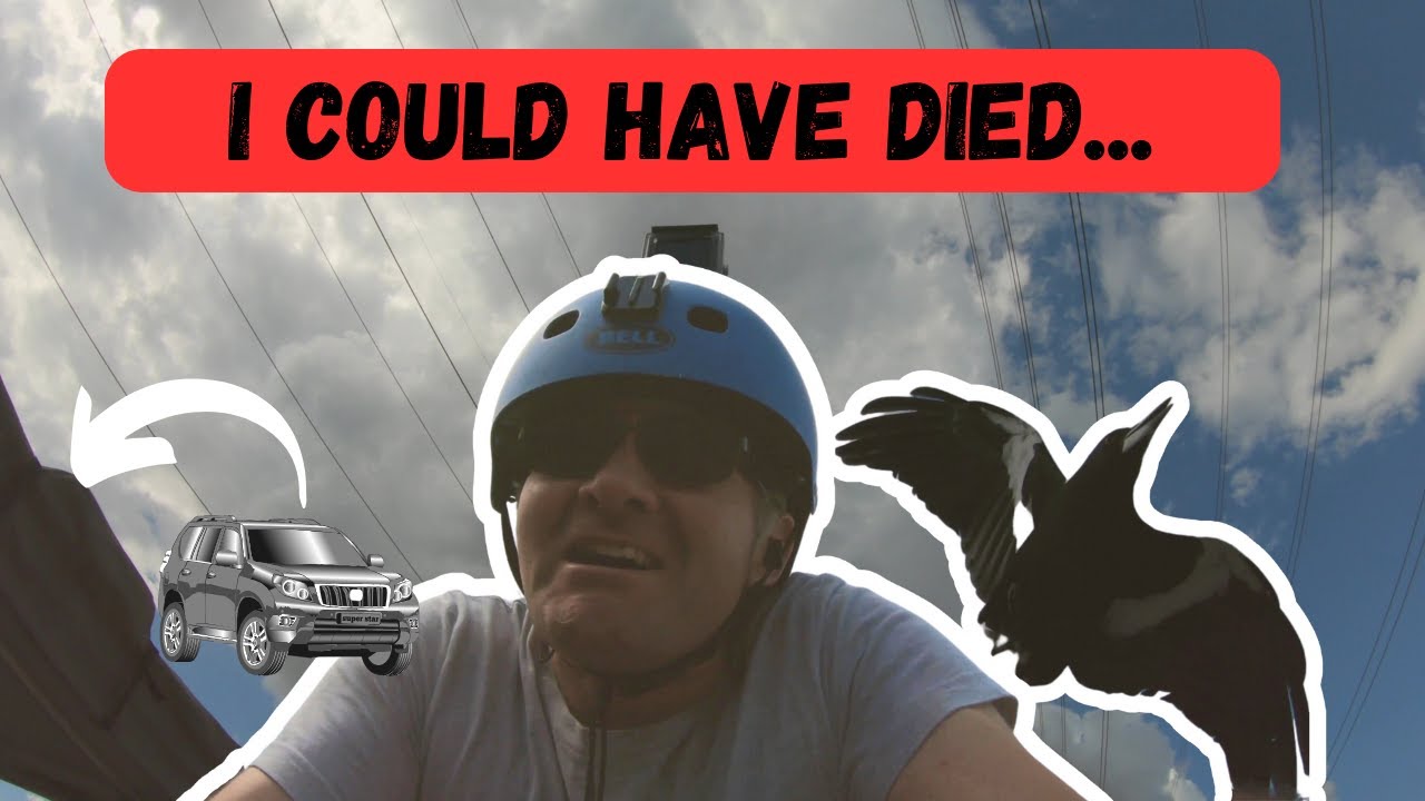 How I handle Magpie season in Australia as a cyclist | Do Magpies ...