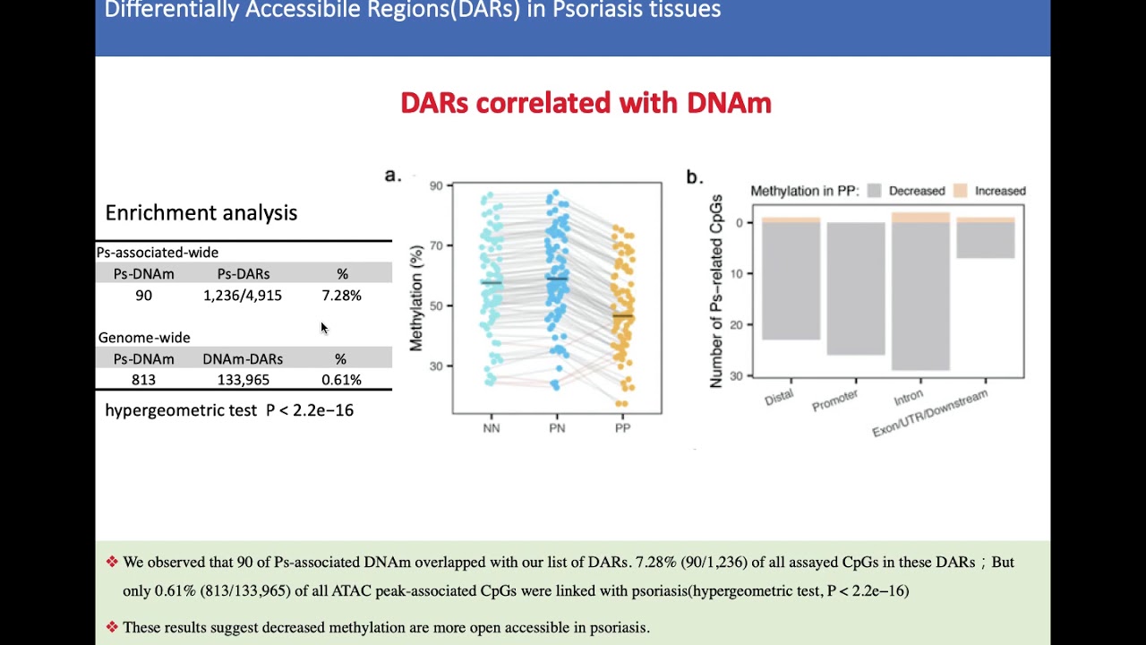 ATAC seq analysis reveals a widespread increase in chromatin ...