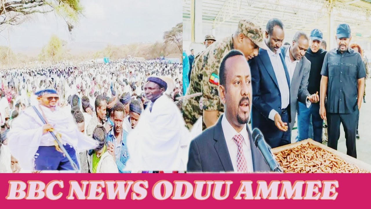 BBC NEWS ODUU AFAAN OROMOO Guyyaa har'a fi Abiyin warshaa dirooni ...