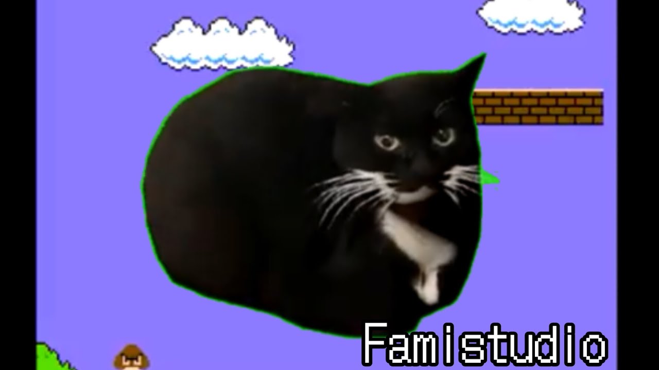 Maxwell the cat in Super Mario Bros. - YouTube