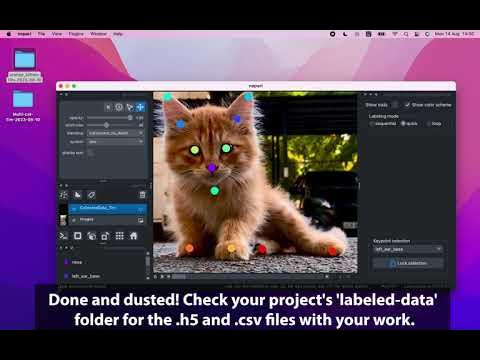 Annotation & Labeling keypoints with napari-deeplabcut 💜 - YouTube