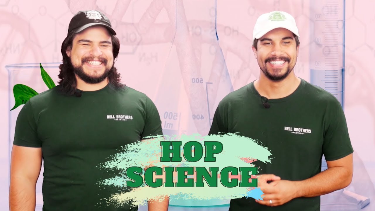 Brew Science - Hops (Bitter, Flavor, & Aroma) - YouTube