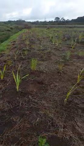 ed01c0ca bbc7 4abe bc9f d902abacd4a3 - YouTube