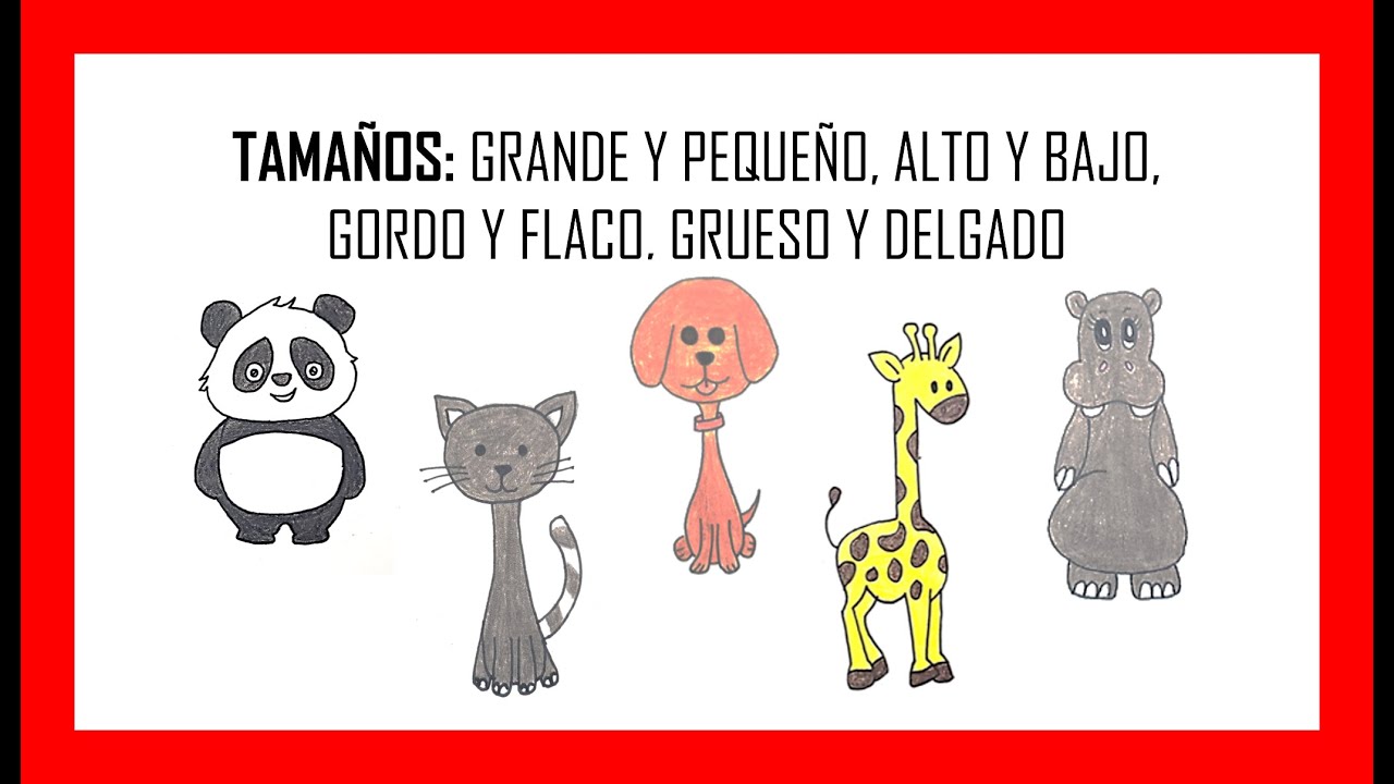 TAMAÑOS: GRANDE Y PEQUEÑO, ALTO Y BAJO, GORDO Y FLACO, GRUESO Y DELGADO ...