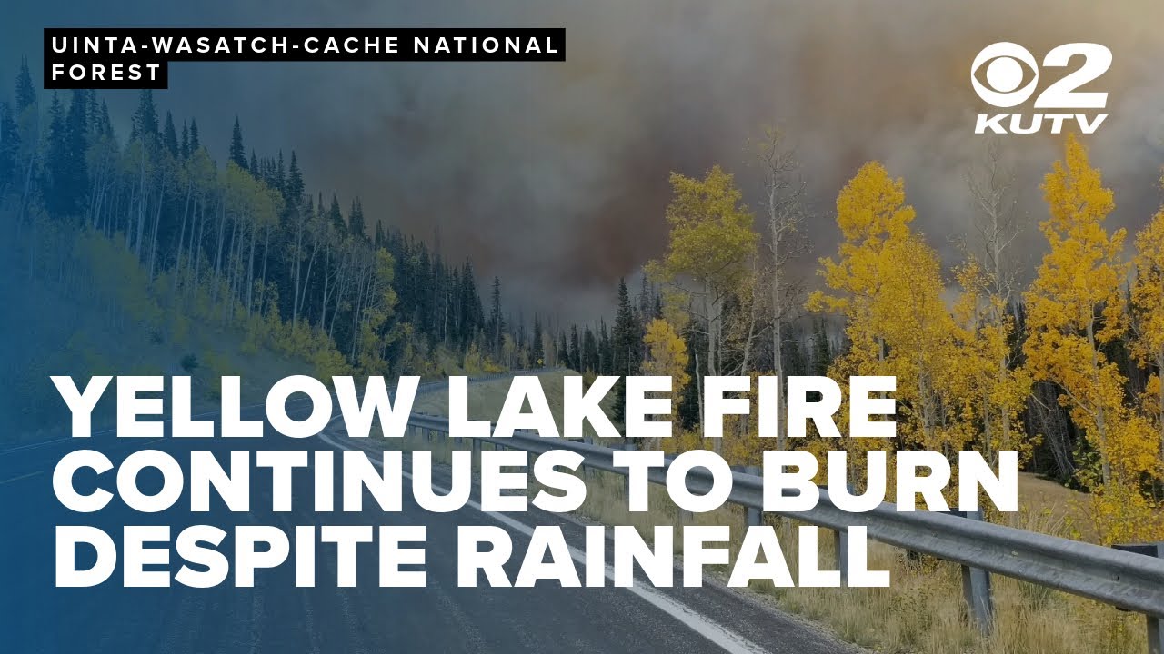Yellow Lake Fire remains at 0% containment, continues to burn despite ...