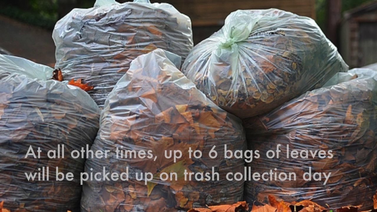 City of Richmond Vacuum Leaf Collection - YouTube