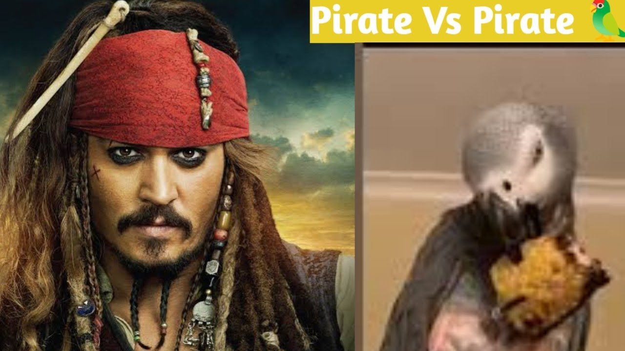 ASMR Pirate Eating Food birds asmr eating food challenges - YouTube