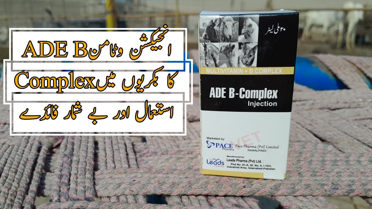 Bakriyon main vitamin ade B complex ka istemal aur faidبکریوں میں وٹامن ...