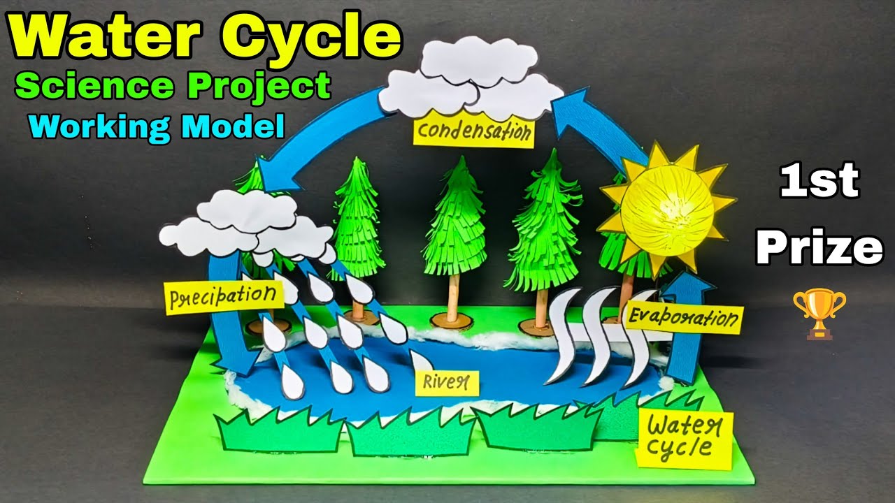 Water Cycle science project | Water Cycle school project | Water cycle ...