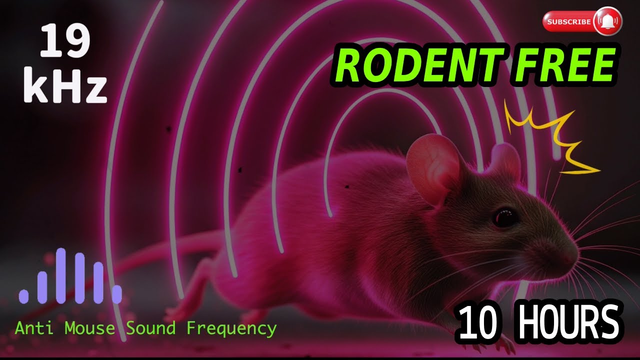Ultrasonic Sound ,The End of Mice Problems 🐭🔊🚫 | Permanent Mouse ...