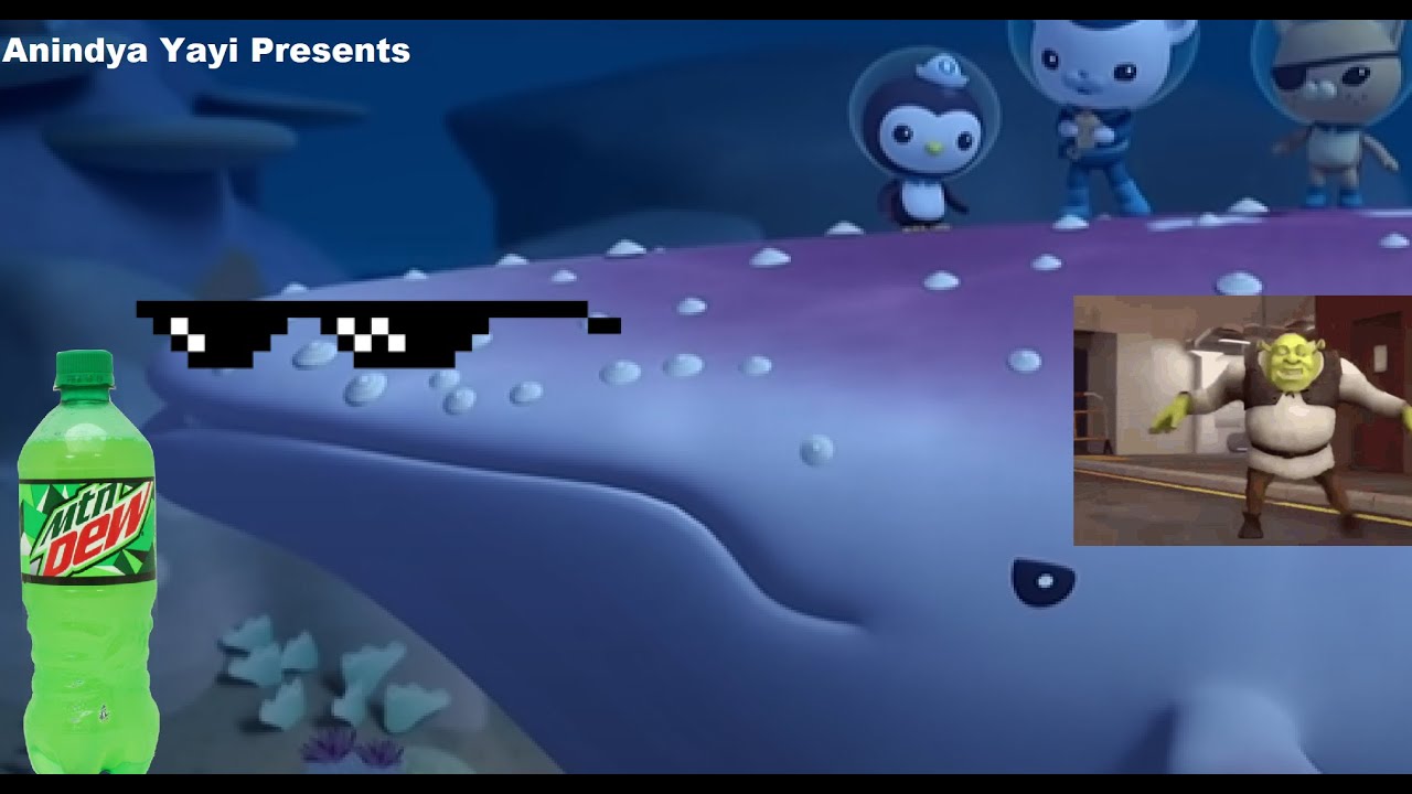 Octonauts YTP: The Octonauts and the Albino Humpback WhaahW - YouTube