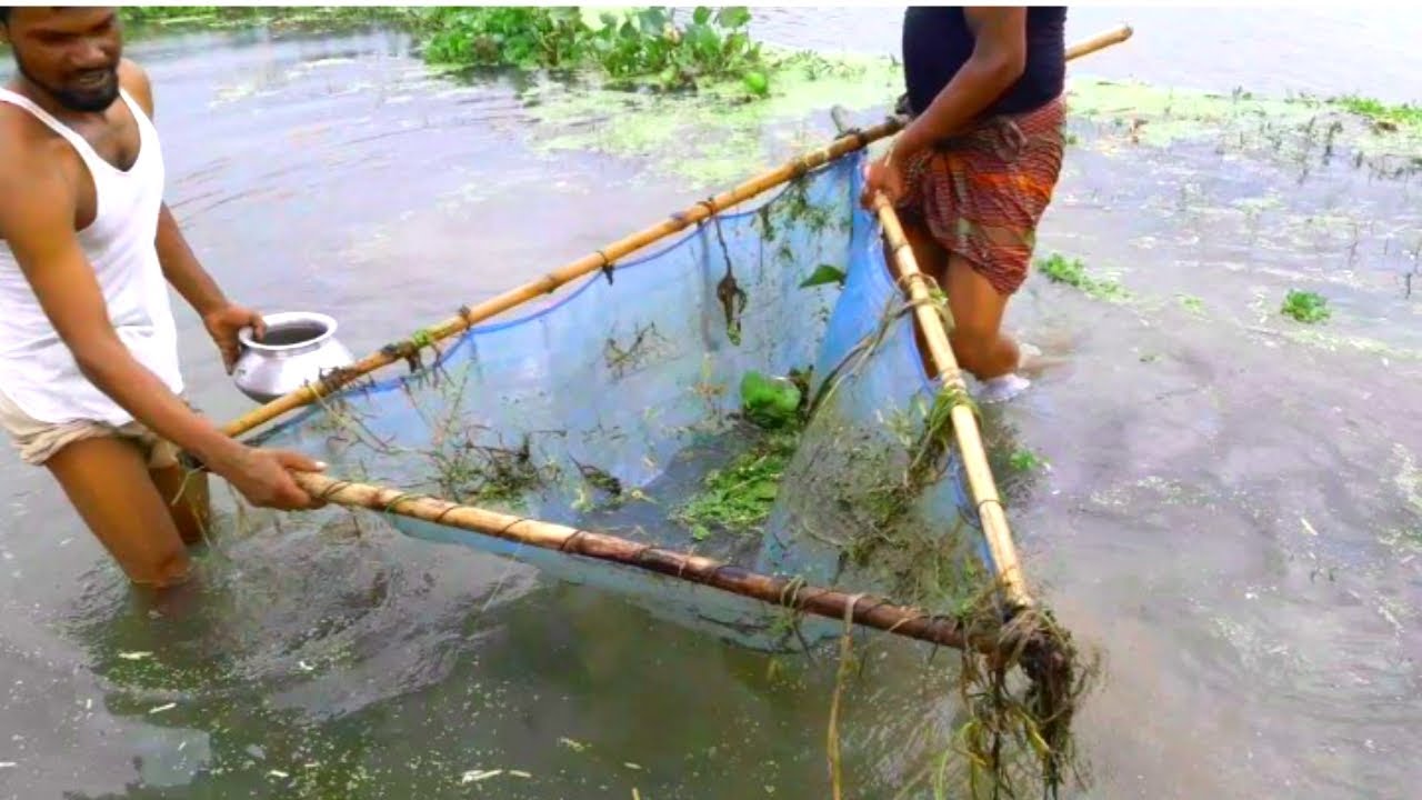 Net Fissing technique/ River Fishing/ Huge little fish trapping in BD ...