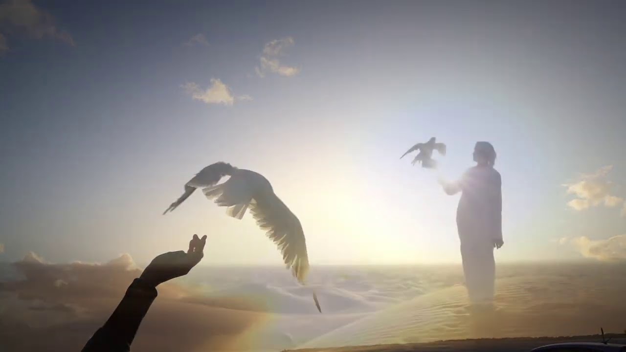 Spiritual Wellness - Transcending 11 - YouTube