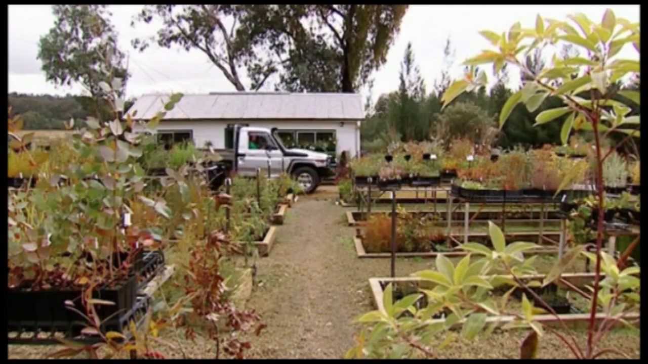 Wagga Wagga City Council - National Tree Day - YouTube