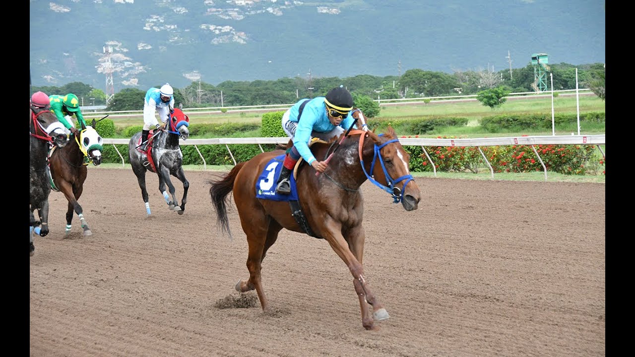 JAMAICA RACING: ALEXA'S DREAM WINS THE CAYMANAS (SAT, OCT 22, 2022 ...