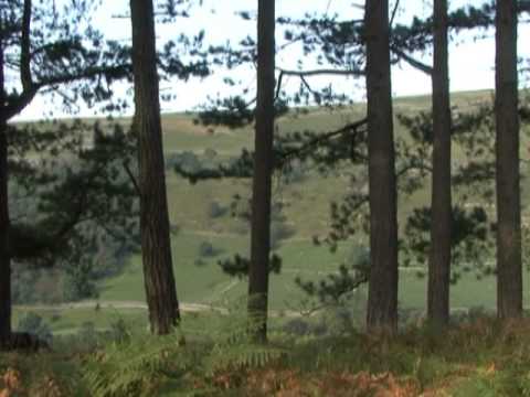 The Scargill Movement 2009: A Renewed Vision - YouTube