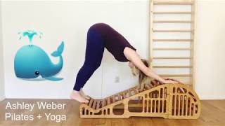 Yoga Whale Bench An Exciting New STRETCH Program Coming To Mindful