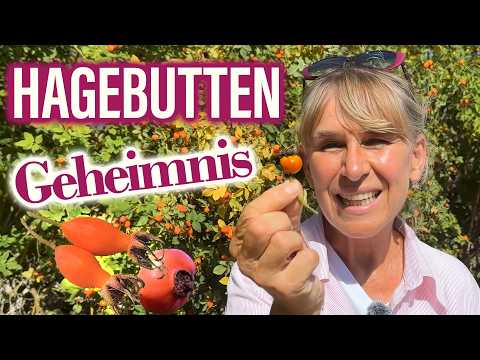 HAGEBUTTEN: 5 Gründe, die Deinen Rosen-Garten WUNDERBAR aufwerten ☀️🐦