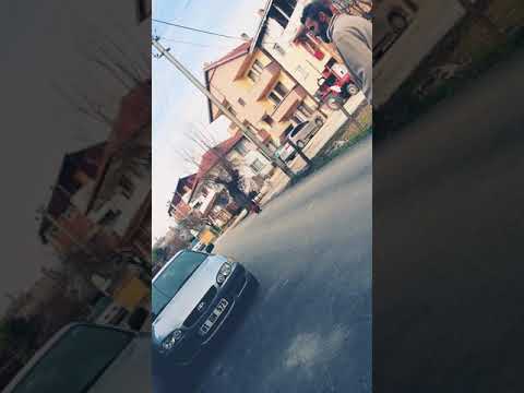 Bir Pitbull un antremanı