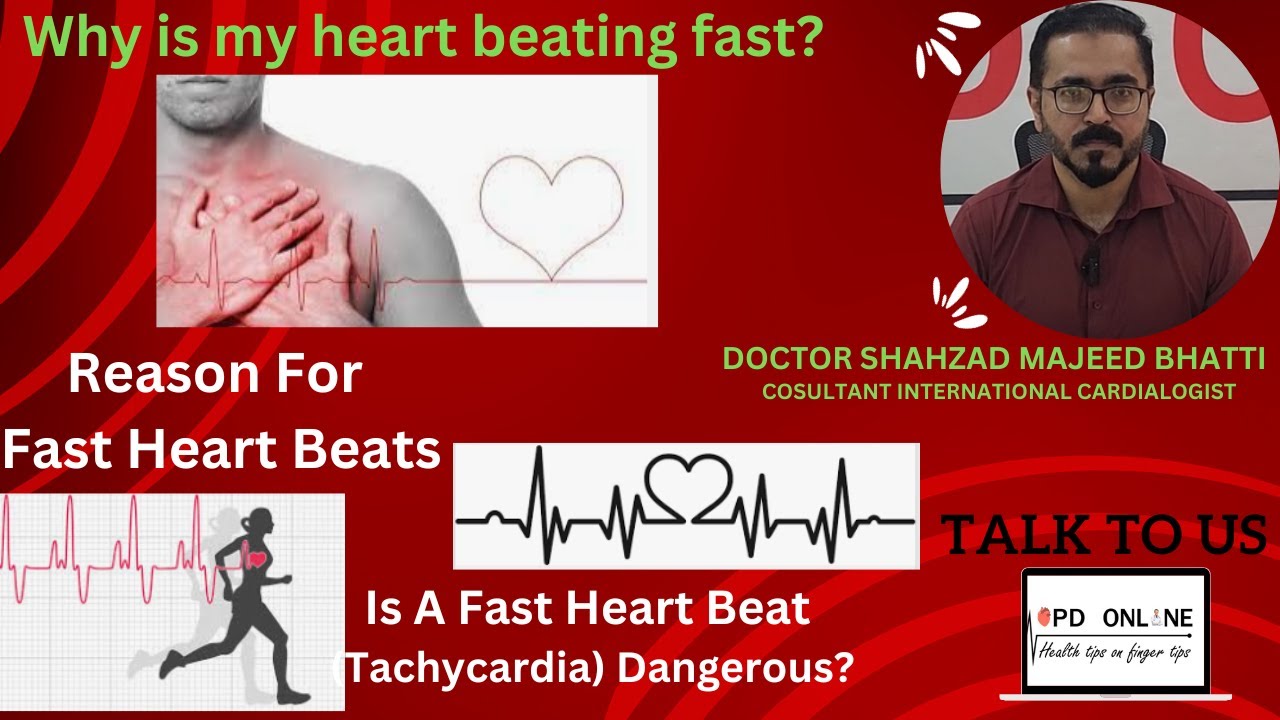 Fast Heart Beat | Why is my heart beating fast? | Is A Fast Heart Beat ...