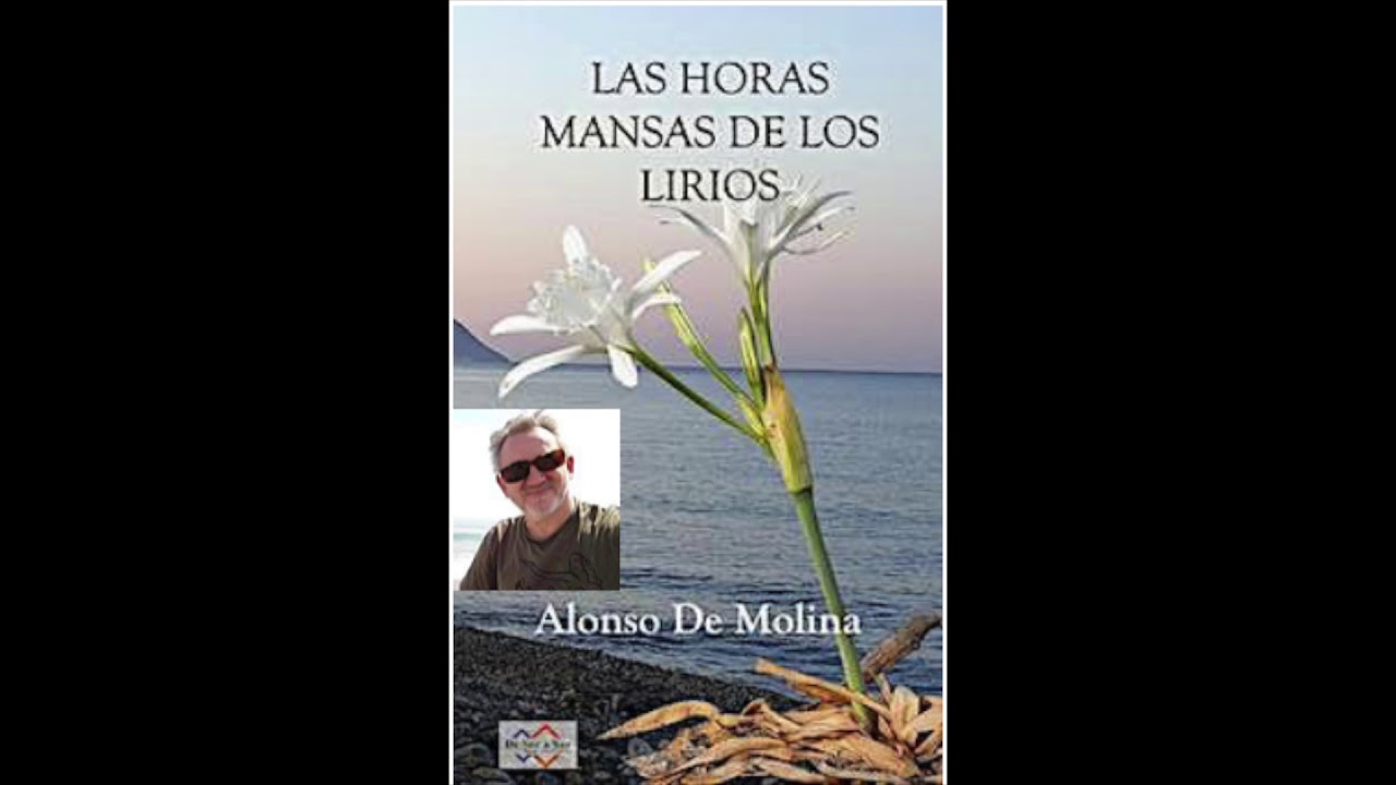 Entrevista a Alonso de Molina– 'De Sur a Sur Editorial' - YouTube