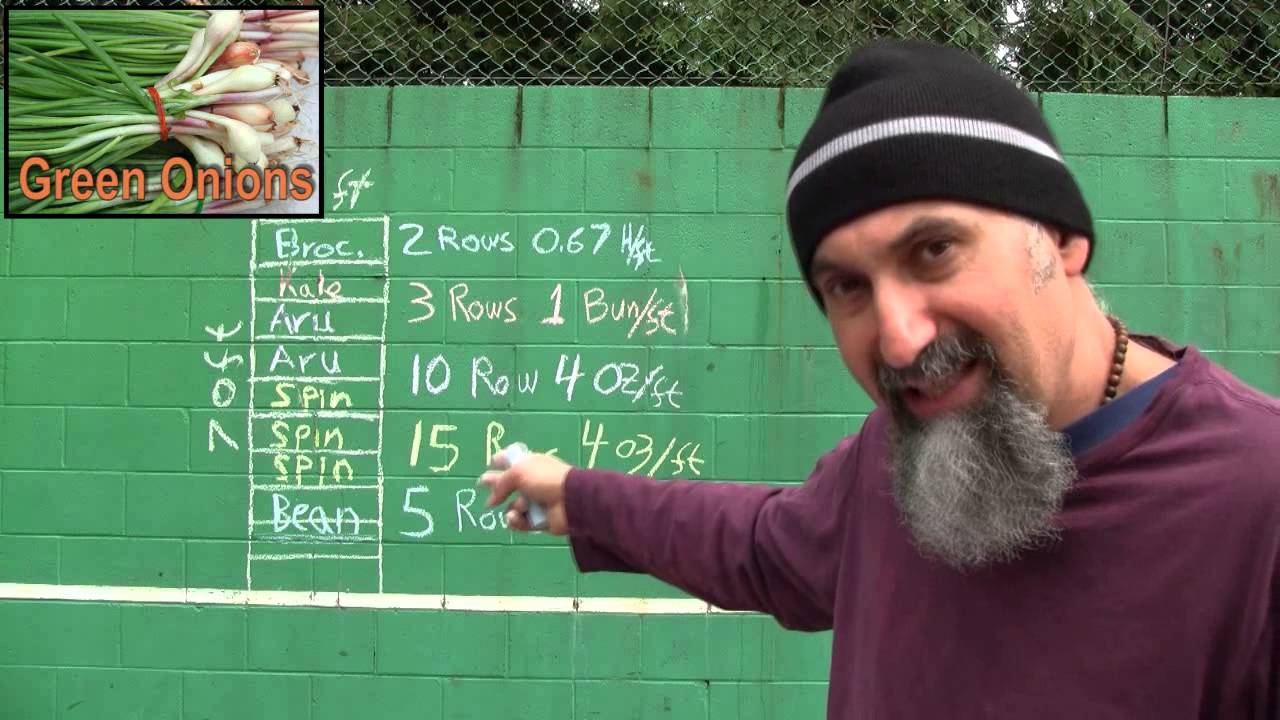 Food and Farming, Part 6: Example #1: Calculating Crop Yield (Math in ...