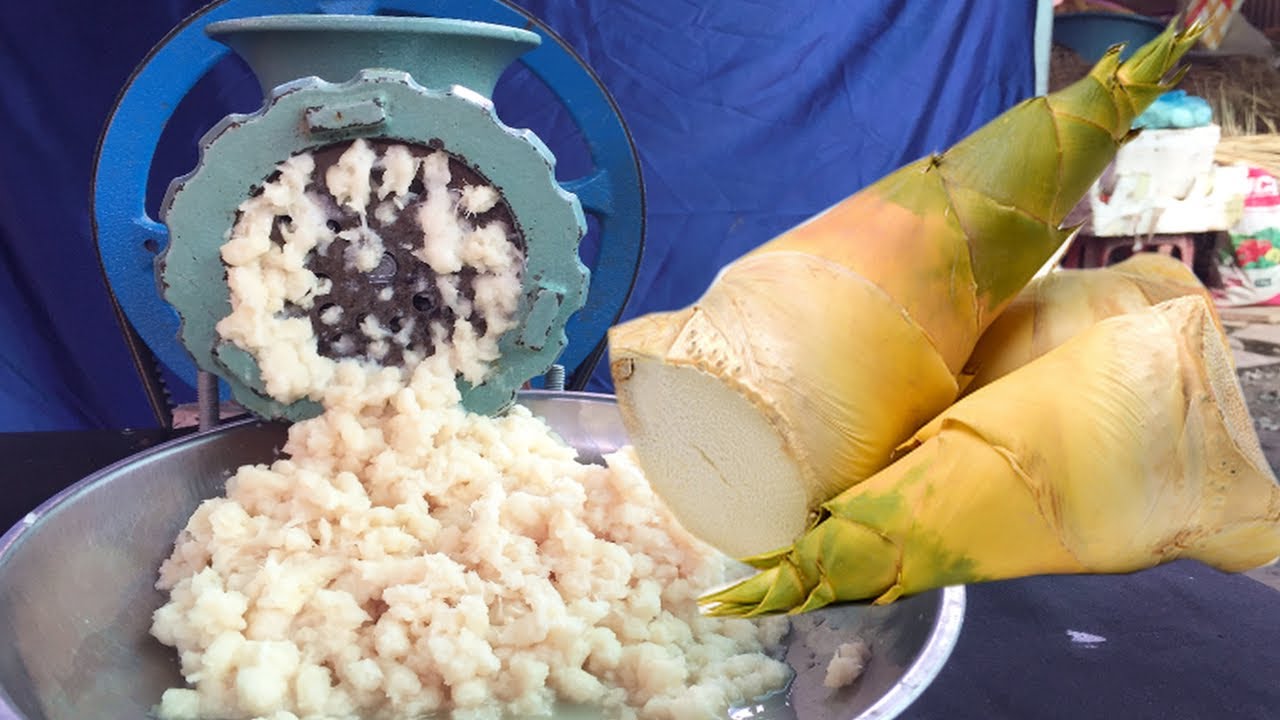 Bamboo Shoot Vs Meat Grinder, #Life, How to Grind Bamboo Shoot For ...