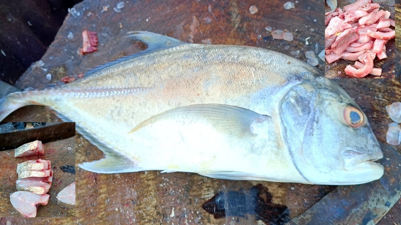 PAARAI FISH💥CUTTING BY RAMESH FISH CUTTER IN BEACH FISH MARKET🔪🔥 - YouTube