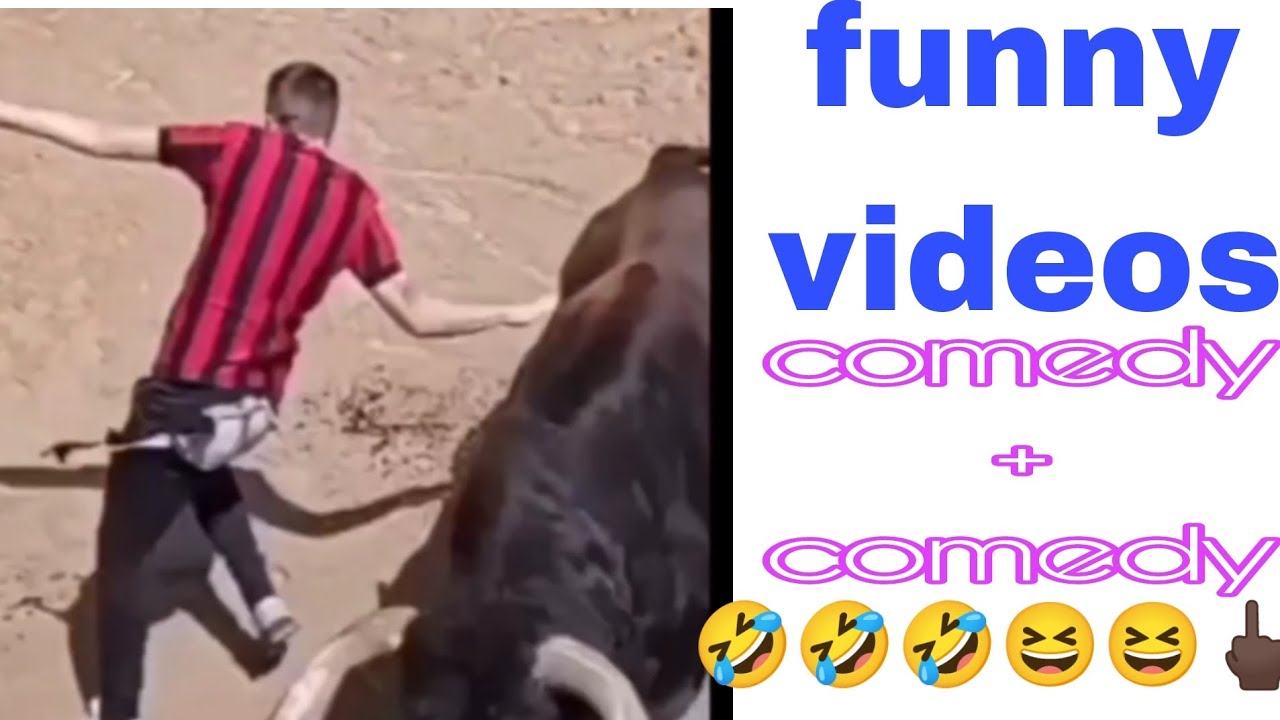 funny videos 2023 | comedy videos | comedy funny 🤣😆🤣 - YouTube