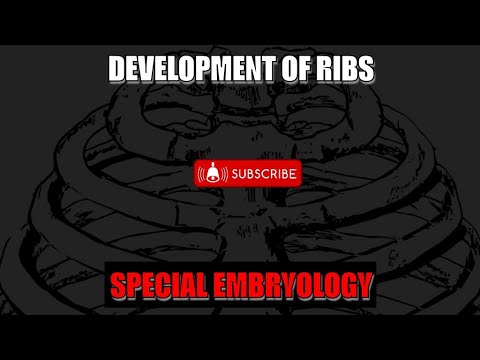 Development of Ribs | Clinicals|#uhs #modular system NO Need to read 📚 ...