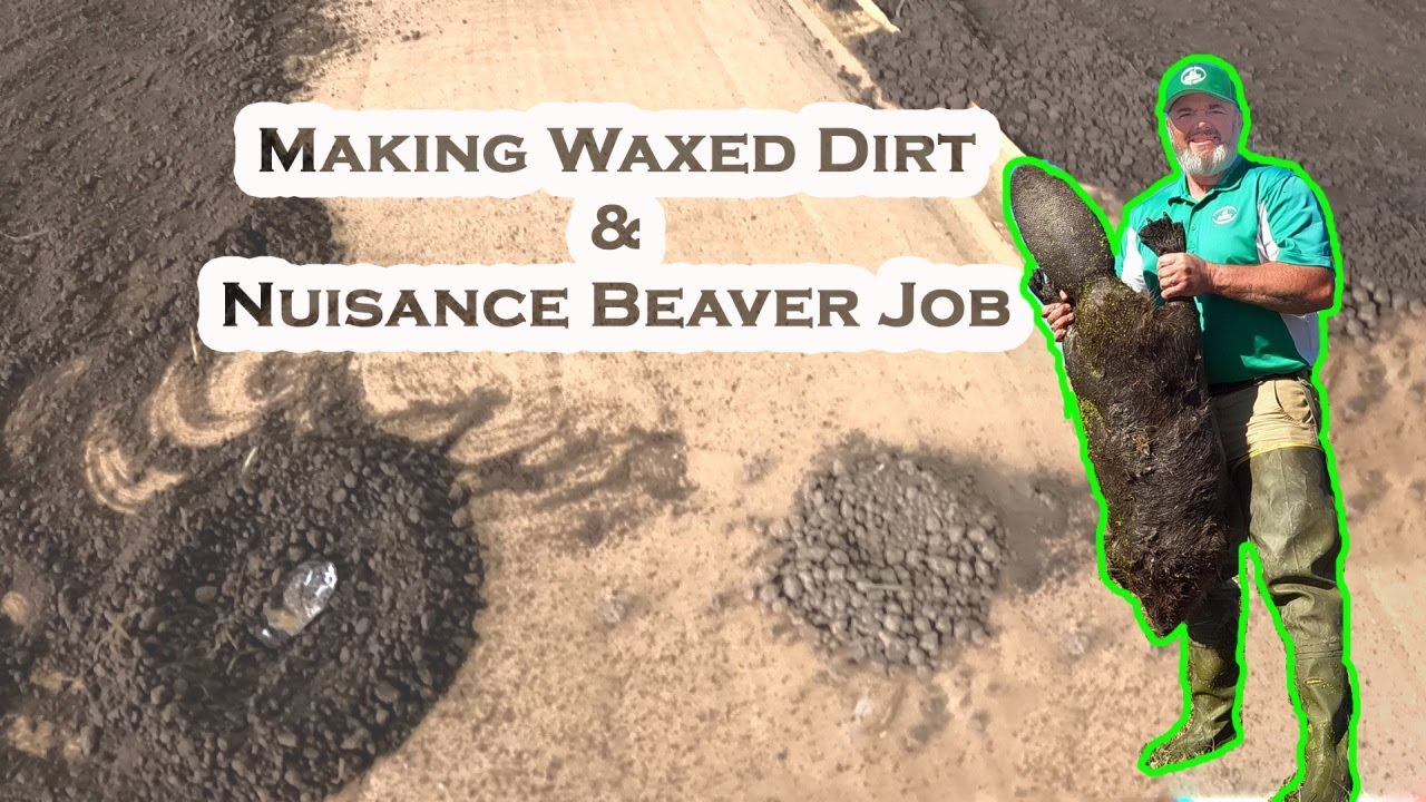 How To Make WAXED DIRT & Nuisance Beaver Job | VLOG| S5 Ep4 - YouTube