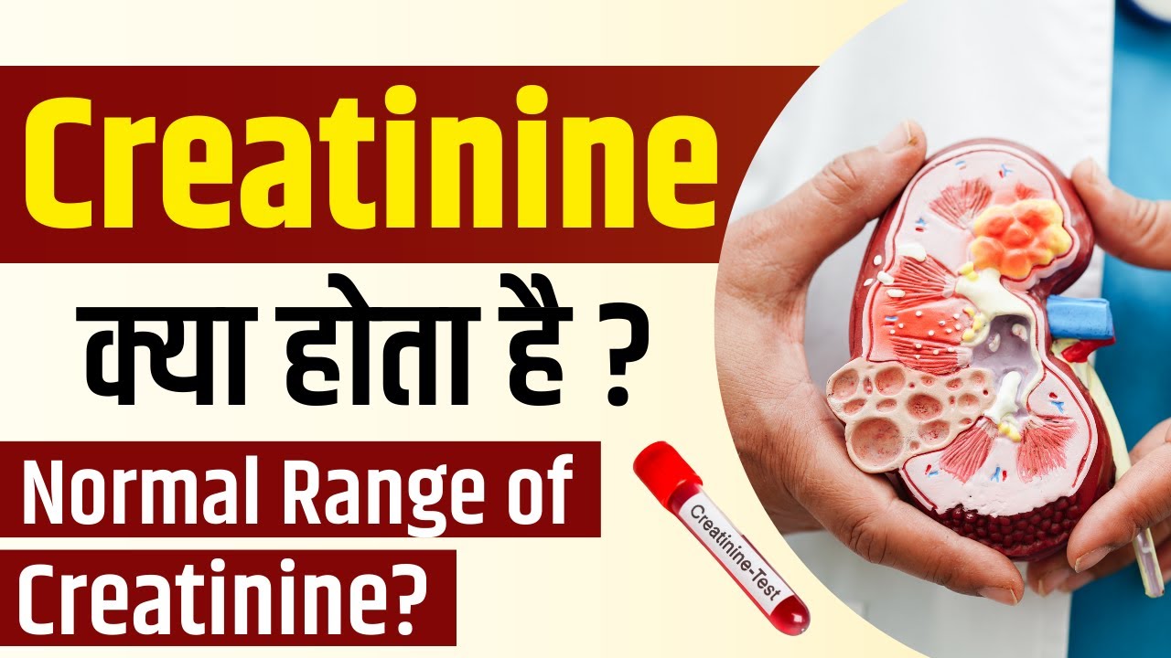 What is Creatinine? Normal Range of Creatinine Level in Males and ...