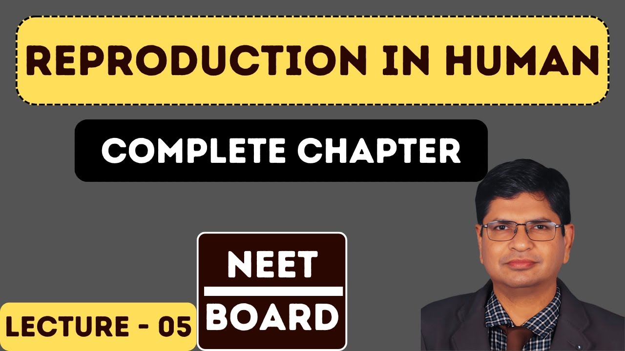 Reproduction in Human | FULL CHAPTER | NCERT Class 12th Zoology ...