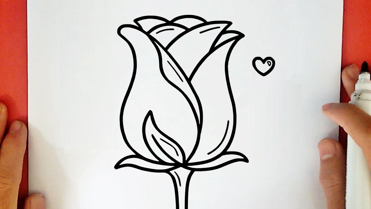COME DISEGNARE UNA ROSA - YouTube