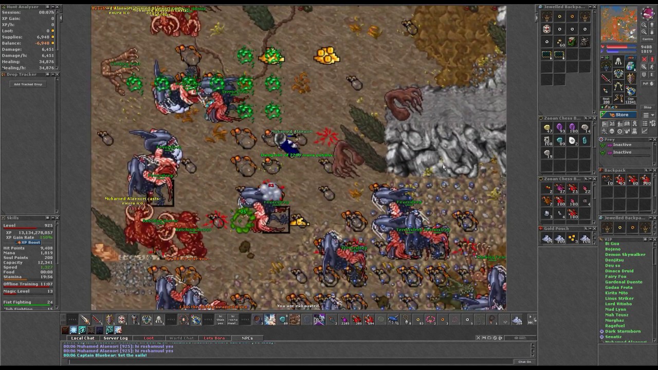 Raid Terrorsleep/Feversleep Rosha - YouTube