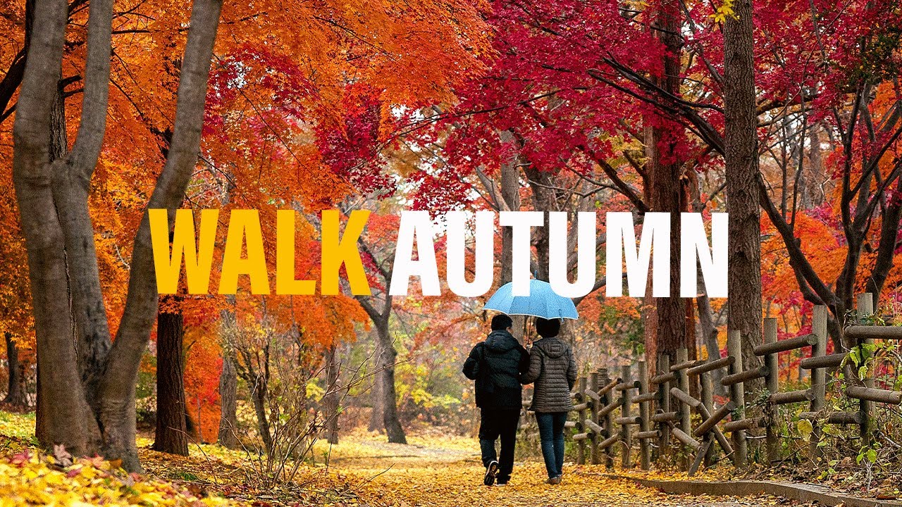 I Walked in Autumn Park With Raindrops on Umbrella - YouTube