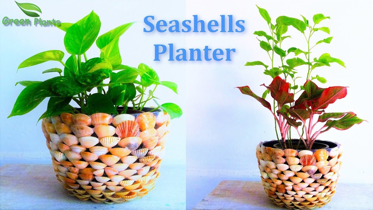 Best Planters or Flower pots Making with Seashells//GREEN PLANTS - YouTube
