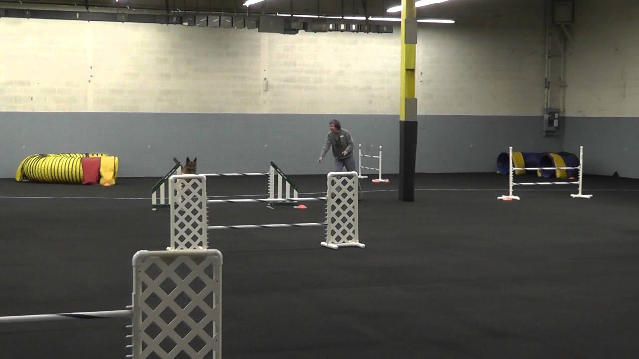 11 28 15 Aiden in Masters FAST Q and 1st place - YouTube