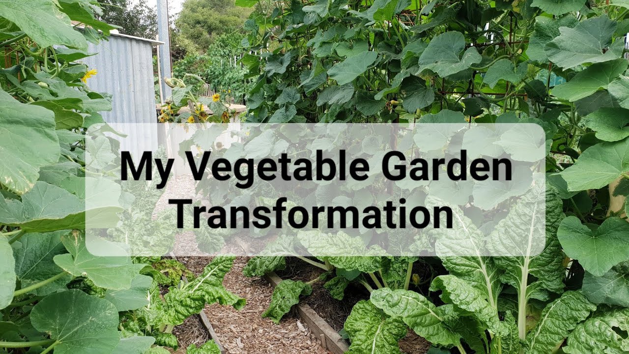 My Vegetable Garden Transformation ~ From dirt to greens - YouTube
