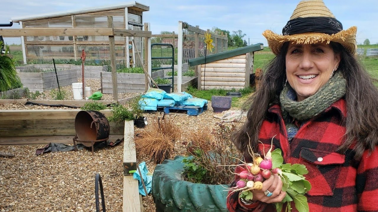 Homesteading in the 21st century - off grid - YouTube