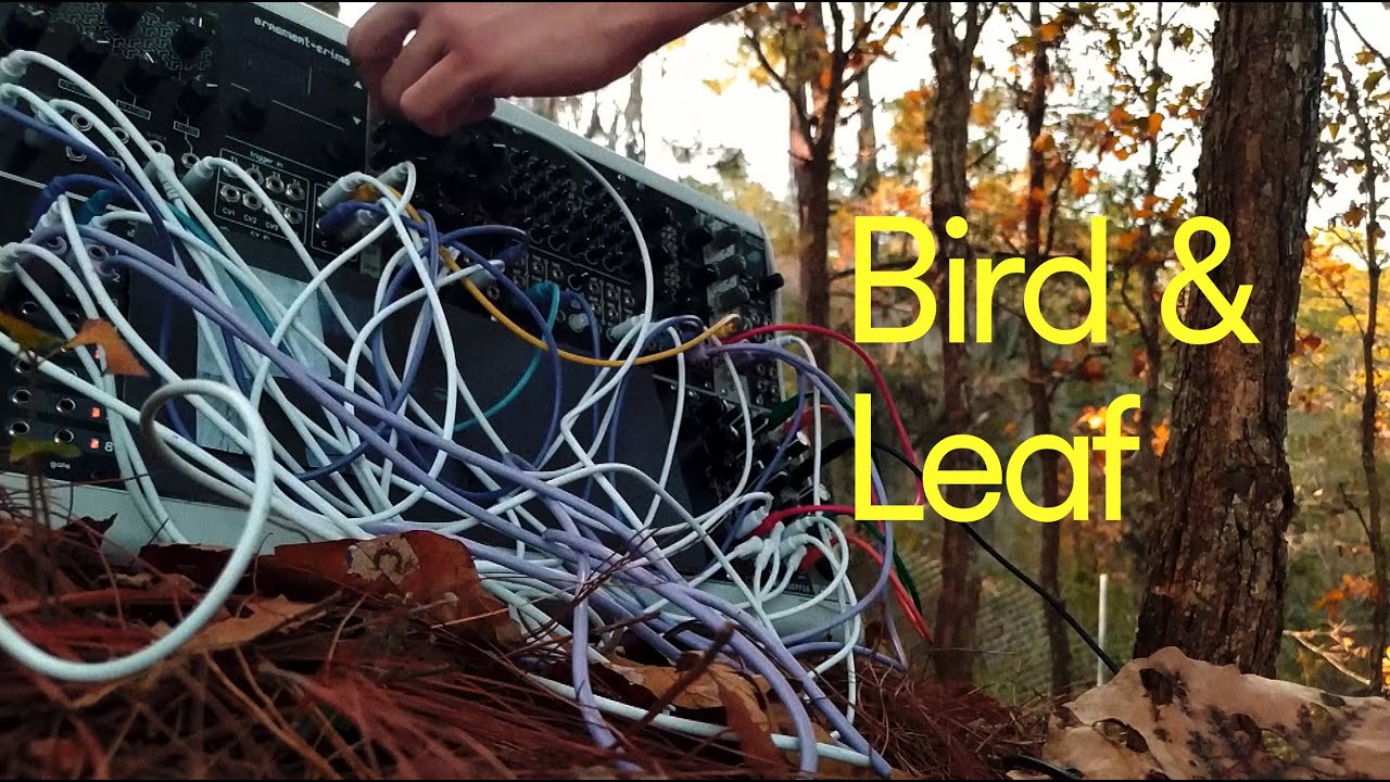 Bird & Leaf | Generative ambient impro with Eurorack Modular ...