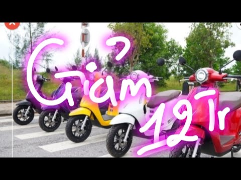 theo các bạn có nên mua xe evo 200 không? #tinhphieuluuky #tanghuutinh ...