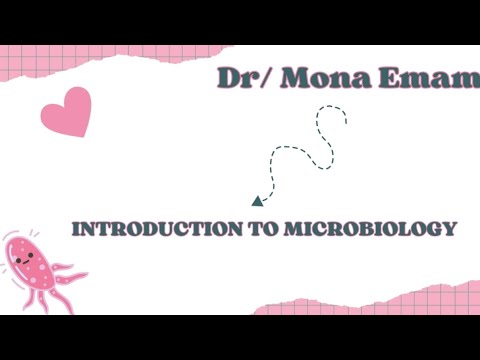 Introduction to Microbiology | Dr/ Mona Emam - YouTube