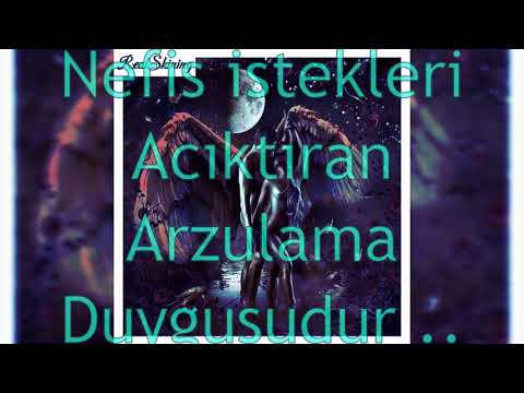 Anlamlı Sözler Nefis #65