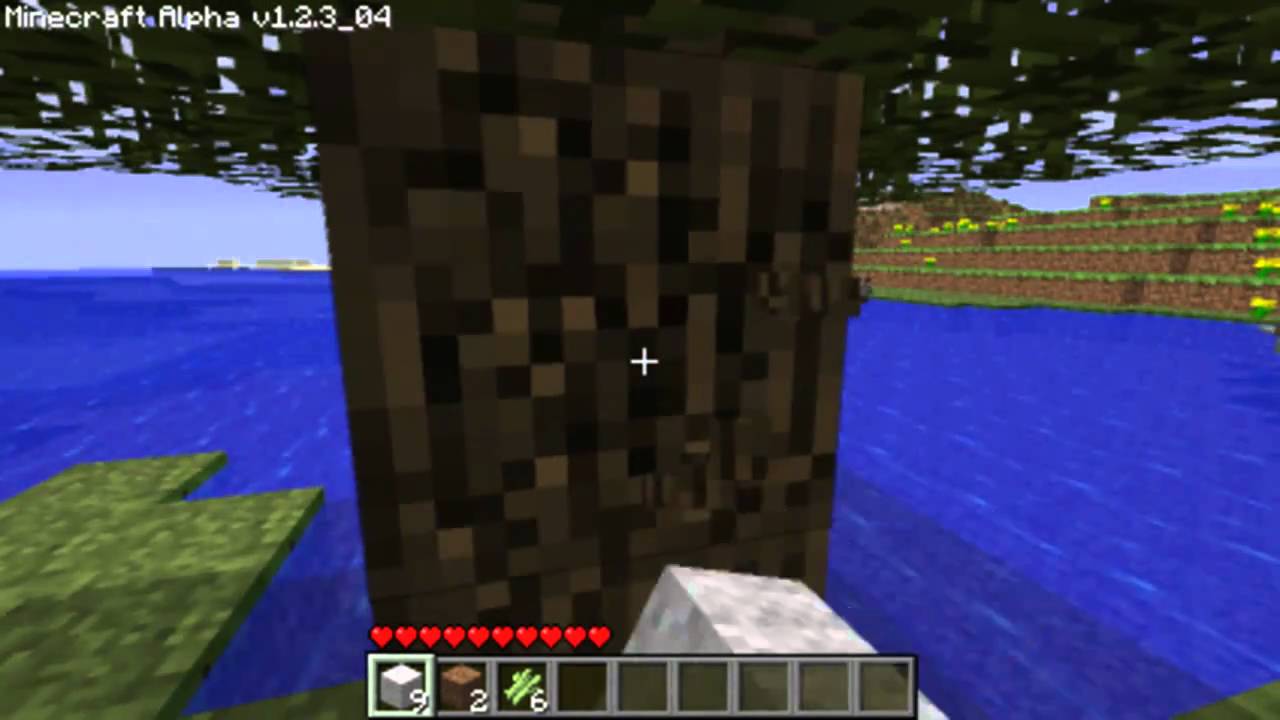 Half Size 30 FPS Minecraft [TEST] - YouTube