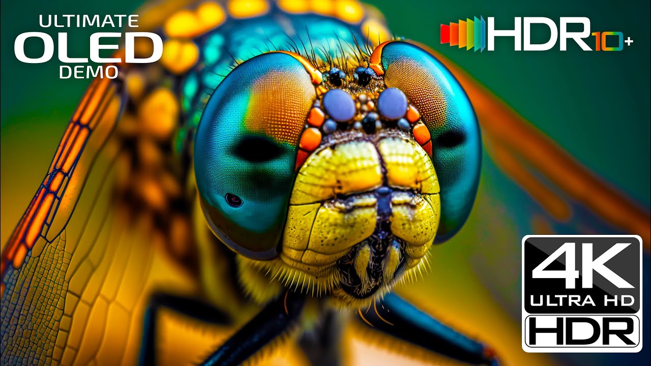 Ultimate HDR 4K 120FPS Showcase | 4K ULTRA HD VIDEO | 4K HDR 120fps ...
