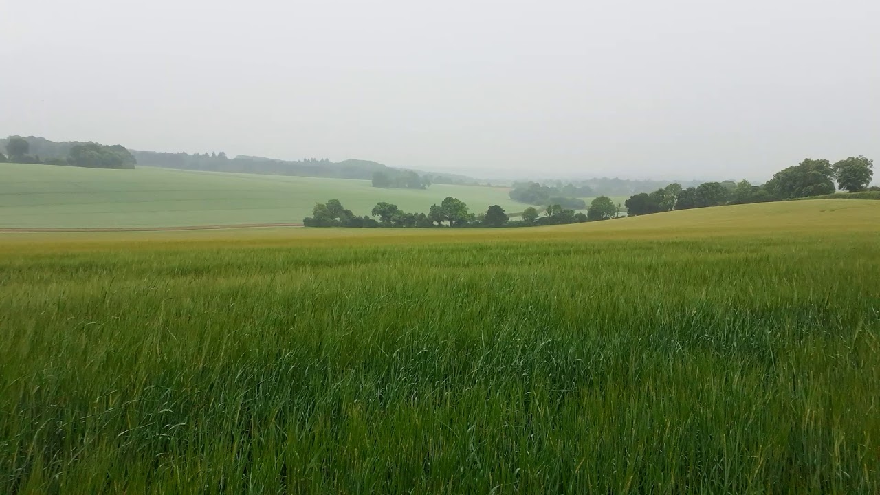 Thunder at the Worzel Gummidge Ten Acre Field in Hampshire - YouTube