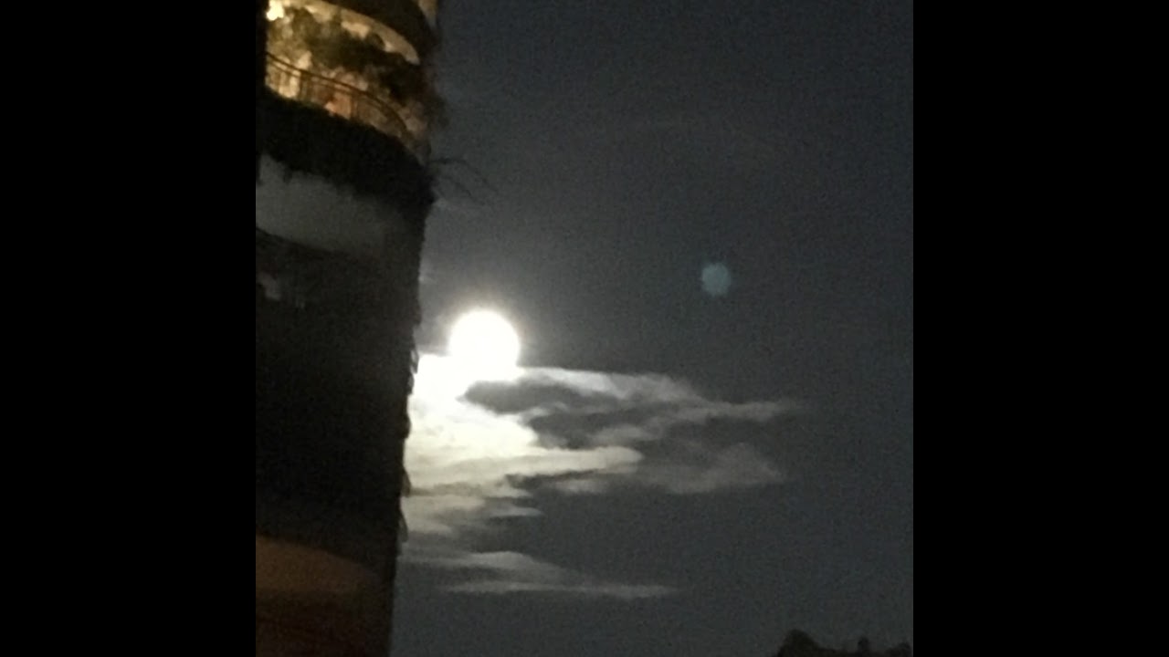 Celia Liang直播 - YouTube