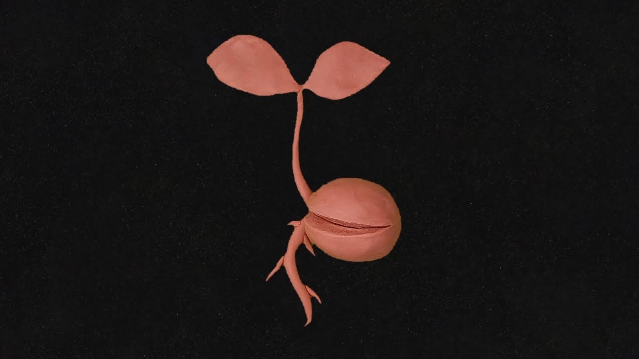 Animation Daily - Day 56 - Plant a Flower Day - Stop Motion ...