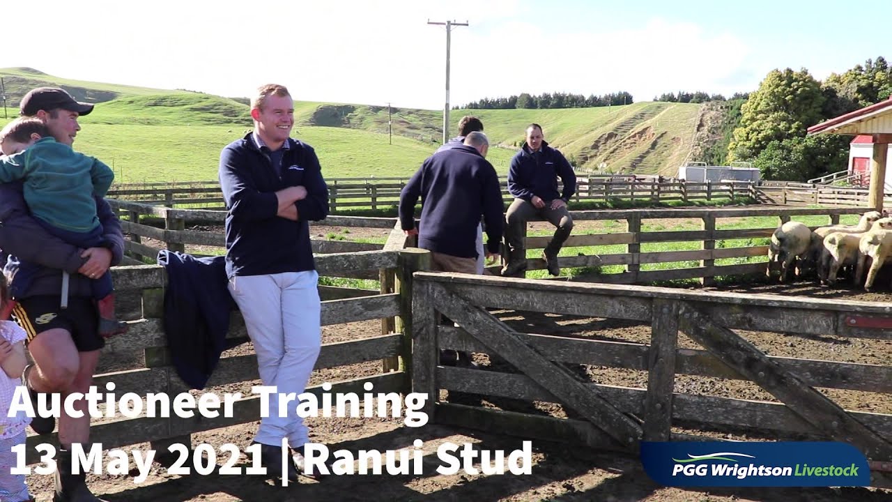 Auctioneer Training.13 May 2021, Ranui Stud - YouTube